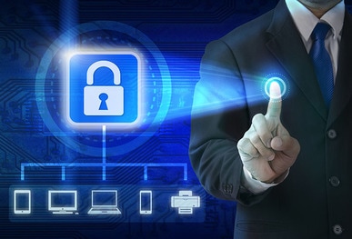 network-security-small-1 • PT DIENG CYBER INDONESIA