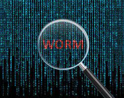 Worm Virus Berbahaya Pada Komputer - PT DIENG CYBER INDONESIA